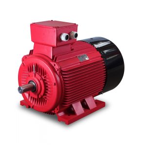 Electric Motor – Royal Fire Protection